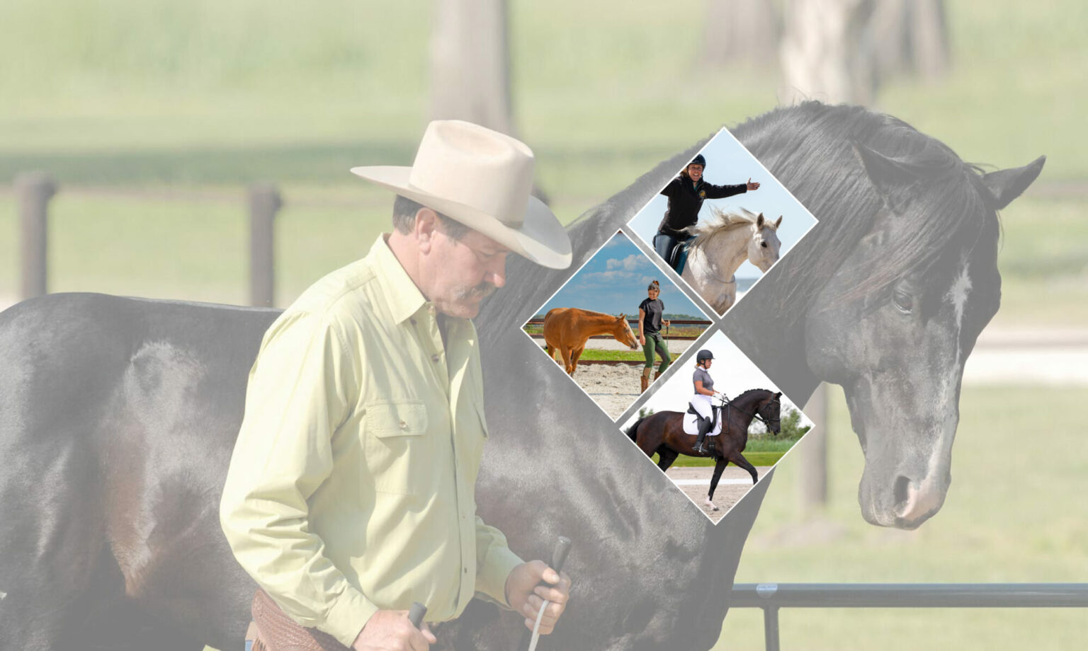 Wat is Parelli Natural Horsemanship – Parelli Nederland